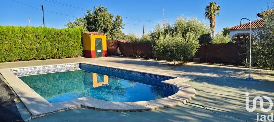 Real estate agents in Lora del Río - iad